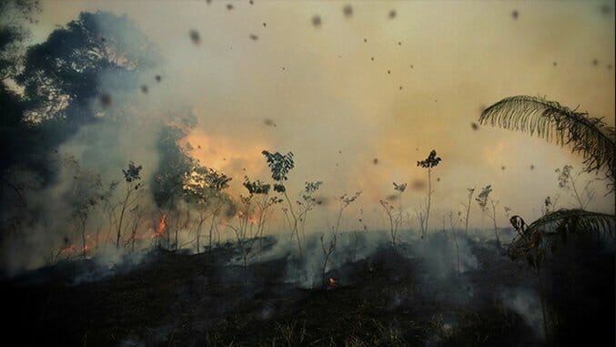 When Two Worlds Collide - Paste Magazine