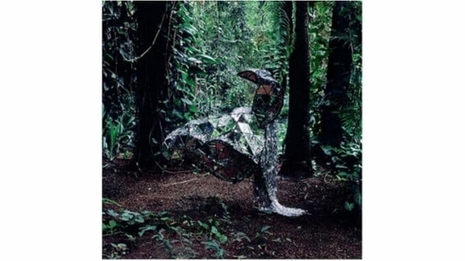 CSS: Donkey - Paste Magazine