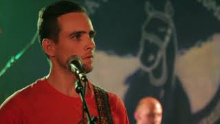 White Rabbits - The Plot - Paste Magazine